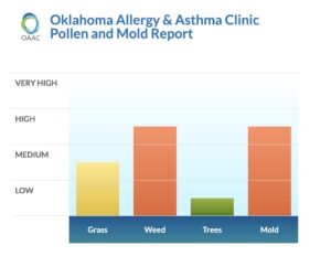 Your Daily Allergy Forecast: How to Read the Pollen and Mold Report ...